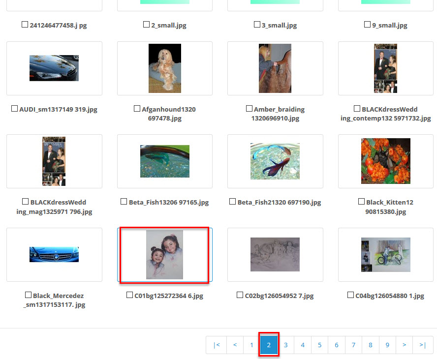 Breeze Website Builder Help